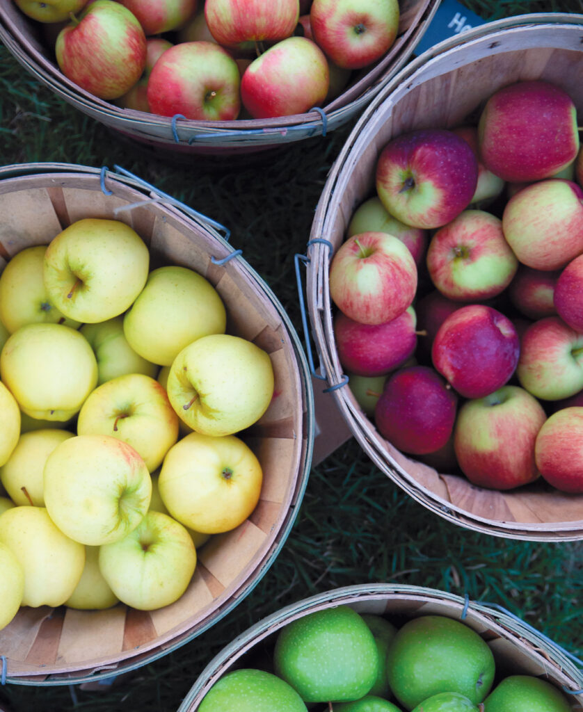 Cloning the Superfruit